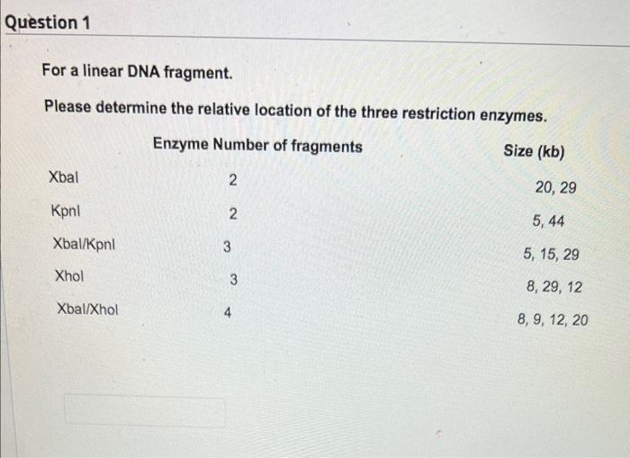 Solved For a linear DNA fragment. Please determine the | Chegg.com