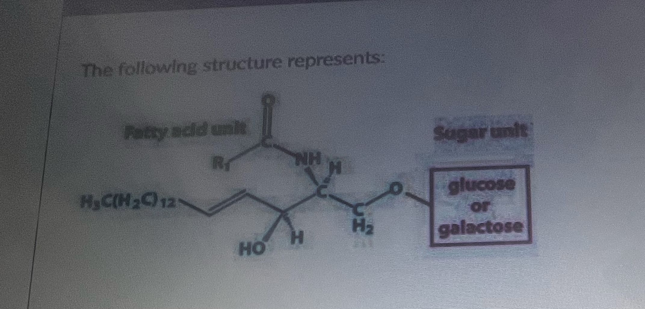 Solved The following structure represents: | Chegg.com