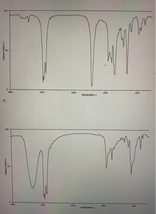 Solved Indicate and interpret the important peaks in the | Chegg.com