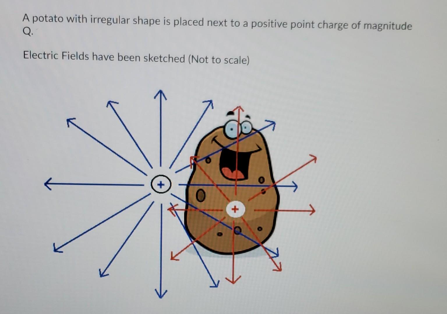 Solved A potato with irregular shape is placed next to a | Chegg.com