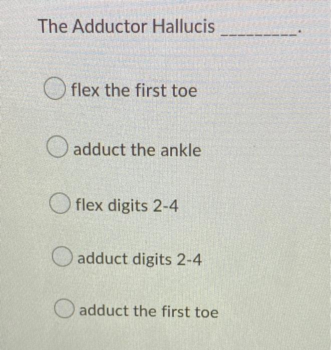 Solved The Adductor Hallucis Oflex the first toe adduct the | Chegg.com