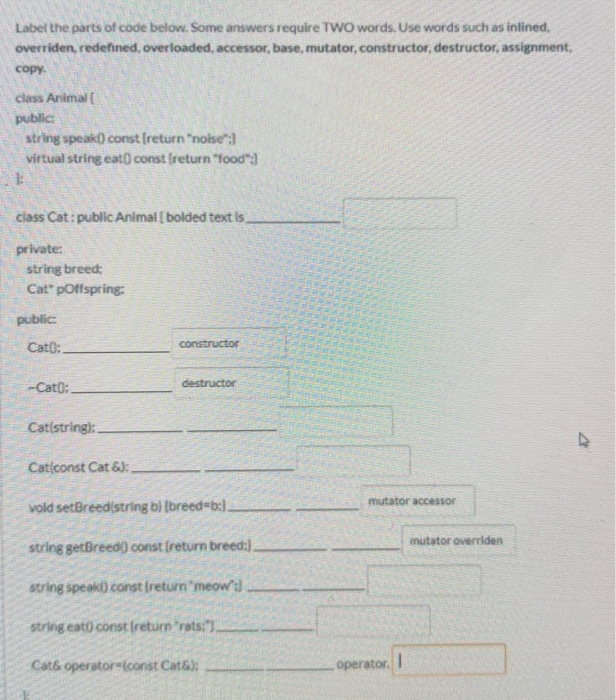 Solved Label the parts of code below. Some answers require | Chegg.com