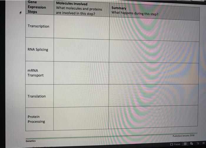 OVERVIEW This worksheet complements the Central Dogma | Chegg.com