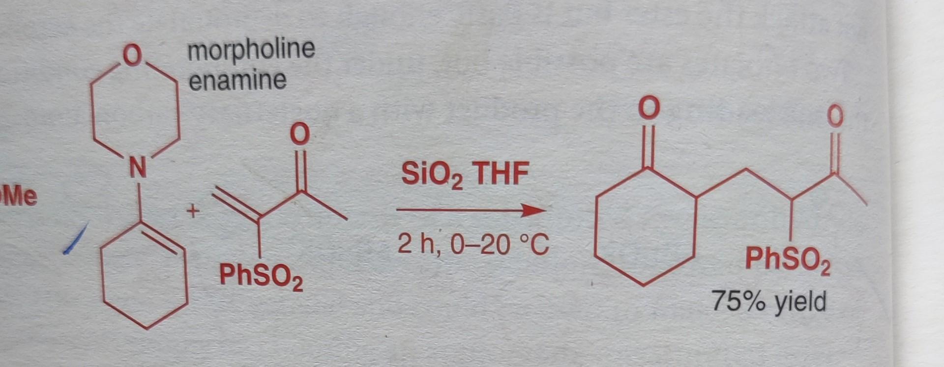 Solved Me 0 N morpholine enamine + PhSO2 SiQ2 THF 2 h, 0-20 | Chegg.com