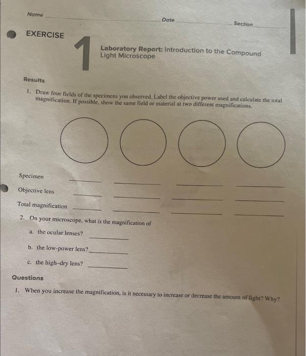 Solved EXERCISE Laboratory Report: Introduction to the | Chegg.com