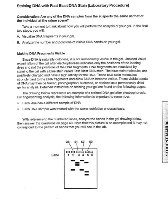 Solved Staining DNA with Fast Blast DNA Stain (Laboratory | Chegg.com