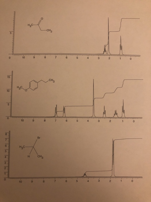 Solved Section 1. Which of the following solvents are | Chegg.com