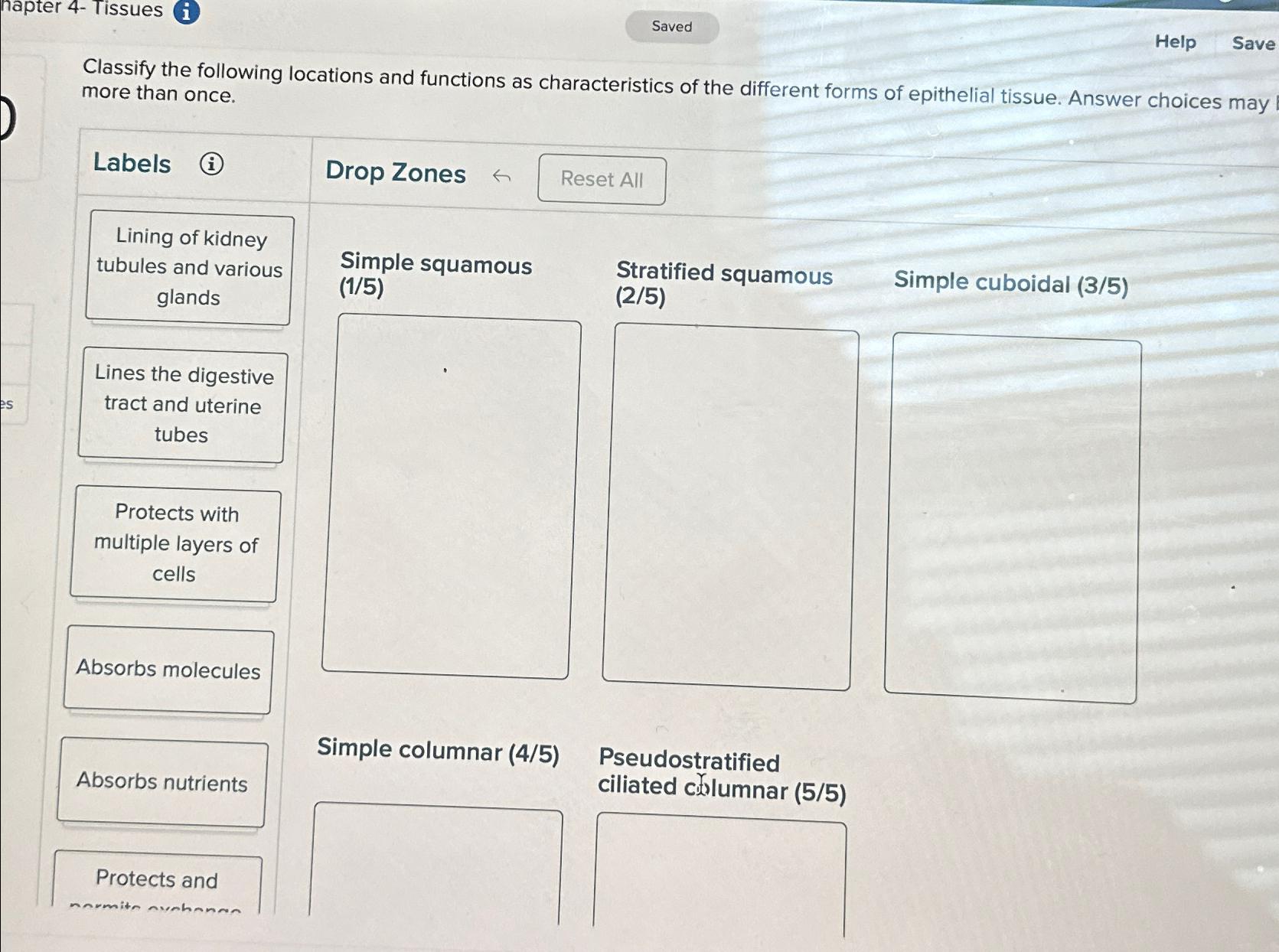 Solved Classify the following locations and functions as | Chegg.com
