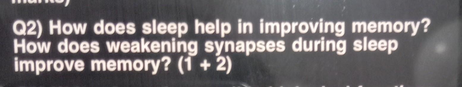 Solved Q2) How does sleep help in improving memory? How does | Chegg.com