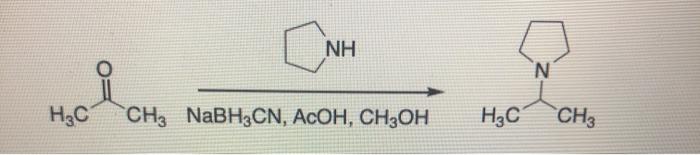 Solved Looking at the reaction, how come reductive amination | Chegg.com