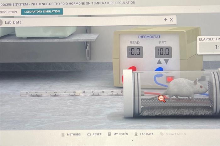 Lab Data Is this the correct O2 consumption for the | Chegg.com