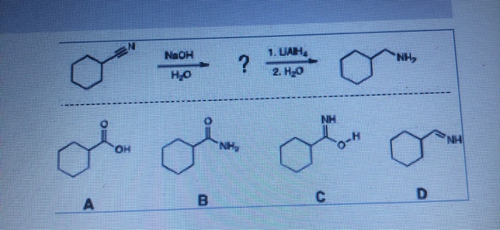 Solved What is the structure of the intermediate compound? | Chegg.com