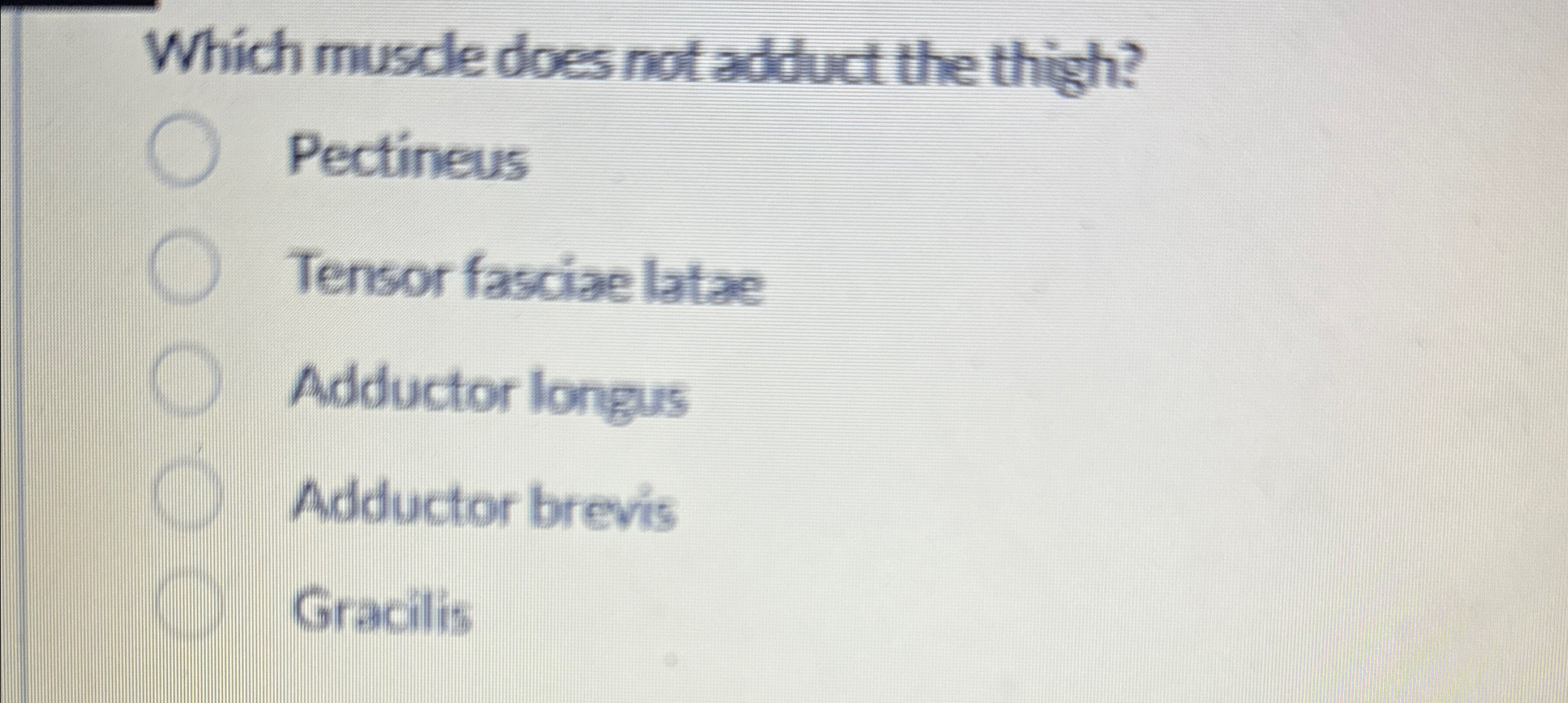 Solved Which muscle does not adduct the | Chegg.com
