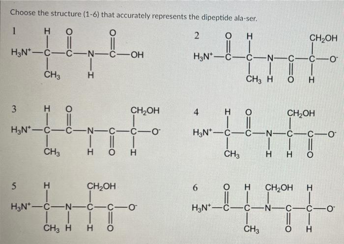 Solved BPG (2,3-bisphosphoglycerate) is a small molecule | Chegg.com