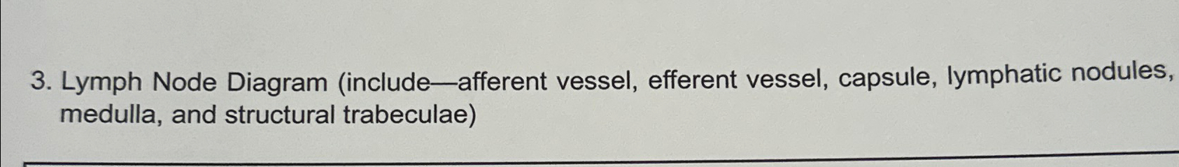 Solved Lymph Node Diagram (include-afferent vessel, efferent | Chegg.com