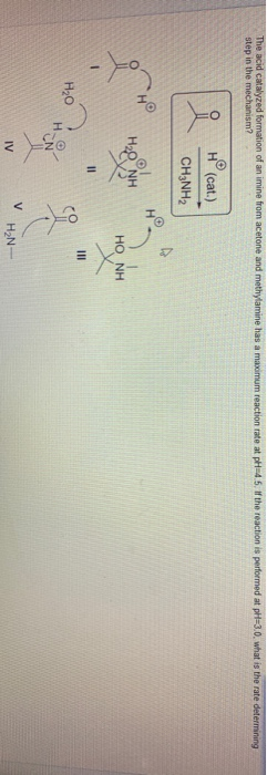 Solved The acid catalyzed formation of an imine from acetone | Chegg.com