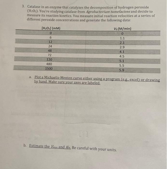 Solved 3. Catalase in an enzyme that catalyzes the | Chegg.com