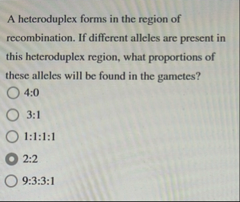 Solved A heteroduplex forms in the region of recombination. | Chegg.com