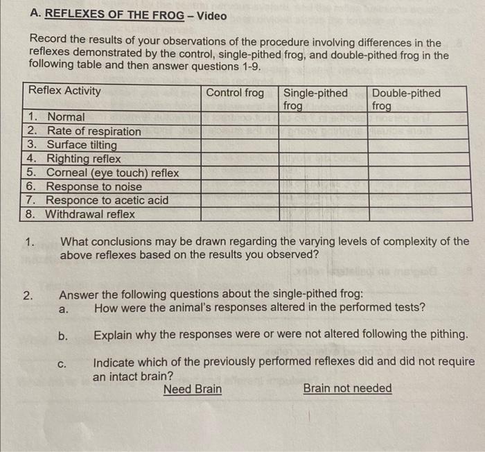 Solved Record the results of your observations of the | Chegg.com
