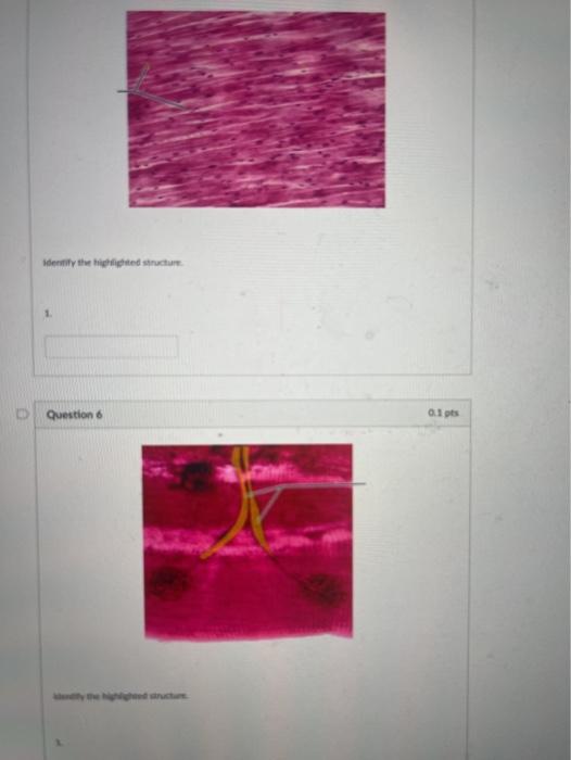 Solved Adjacent cells in this tissue are joined by | Chegg.com