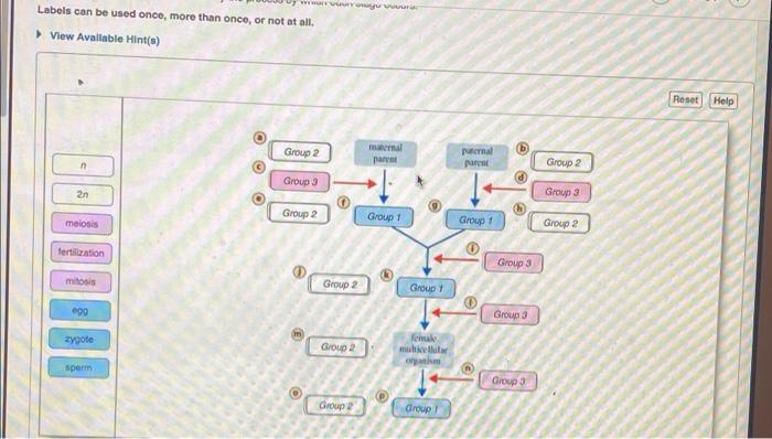 Solved Labels can be used once, more than once, or not at | Chegg.com
