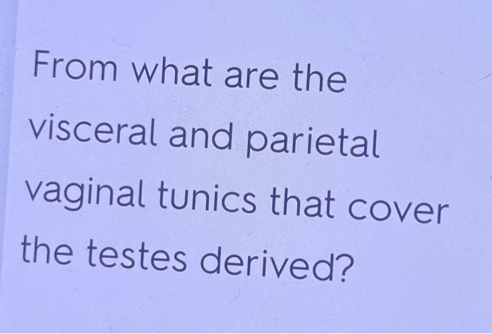 Solved From what are the visceral and parietal vaginal | Chegg.com
