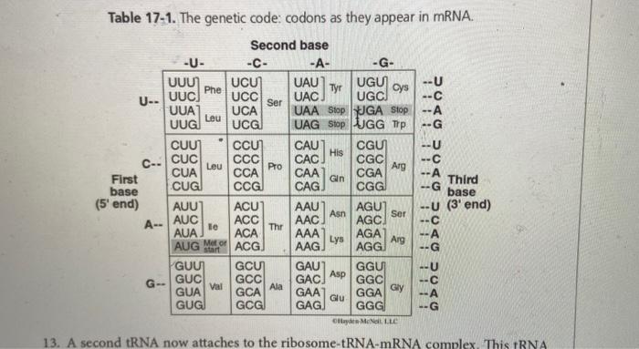 -U- U-- UUC) --G Table 17-1. The genetic code: codons | Chegg.com