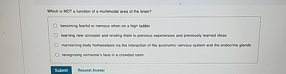 Solved Which is NOT a function of a multimodal area of the | Chegg.com