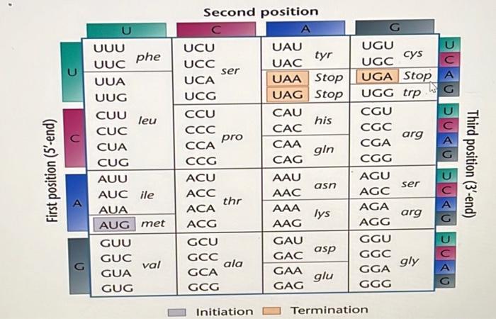 Solved 1. A base substitution at position 13 for a cytosine | Chegg.com