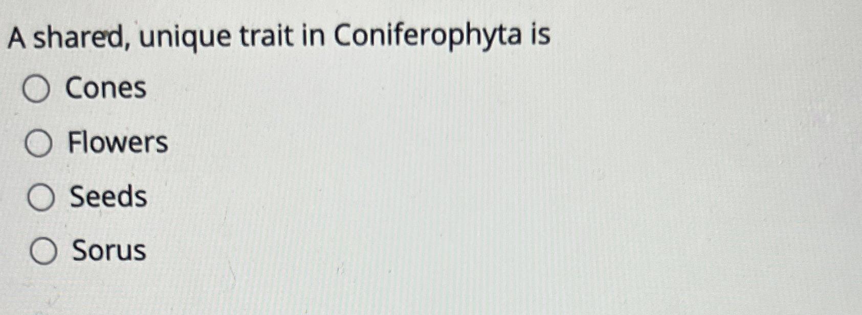 Solved A shared, unique trait in Coniferophyta | Chegg.com