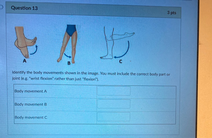 Solved Question 13 3 pts А B Identify the body movements | Chegg.com
