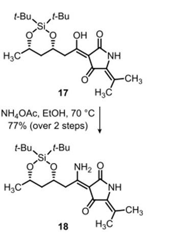 Solved t-Bu t-Bu OH H3C1 NH -CH3 17 H3C NHAOAc, EtOH, 70 °C | Chegg.com