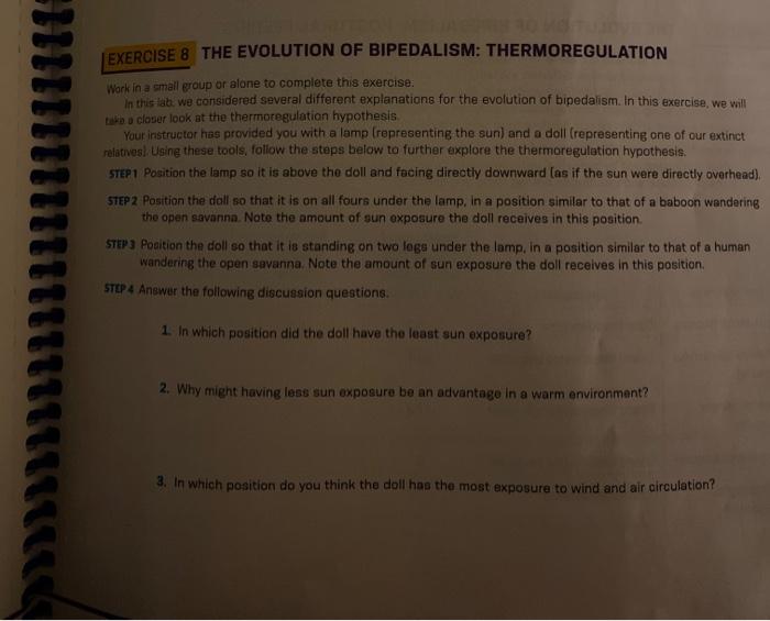 Solved EXERCISE 8 THE EVOLUTION OF BIPEDALISM: | Chegg.com
