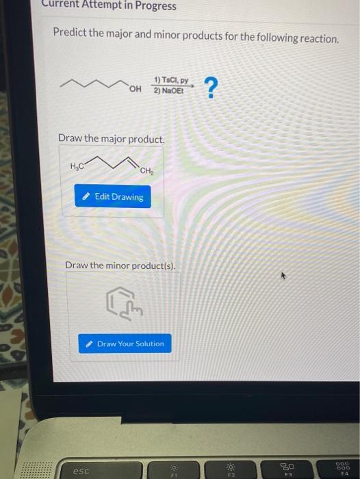 Solved Current Attempt in Progress Predict the major and | Chegg.com
