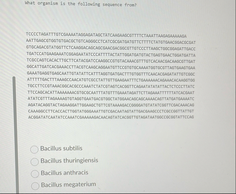 Solved What organism is the following sequence | Chegg.com