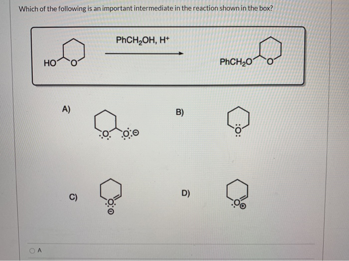 Solved Which of the following is an important intermediate | Chegg.com