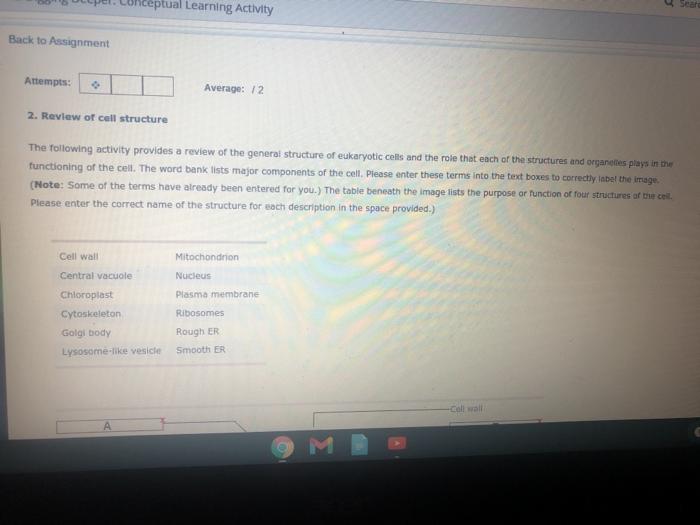 Solved Aceptual Learning Activity Sear Back to Assignment | Chegg.com