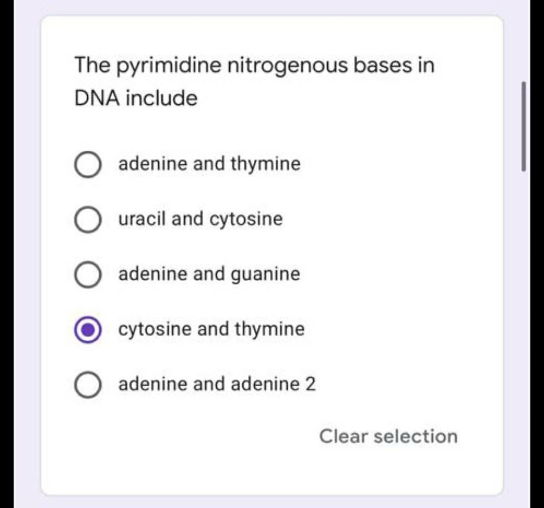 Solved RNA molecule contains triplets UAG AAT TGA ATG TAA | Chegg.com