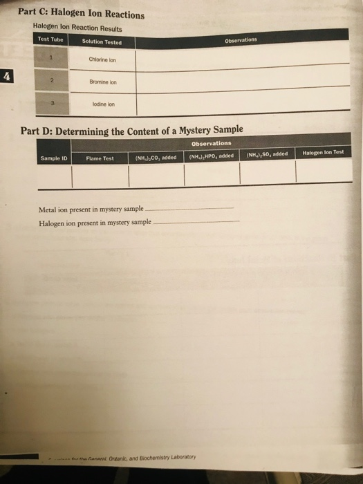 Solved Name PRELABORATORY EXERCISE Lab Partner Lab Section 1 | Chegg.com