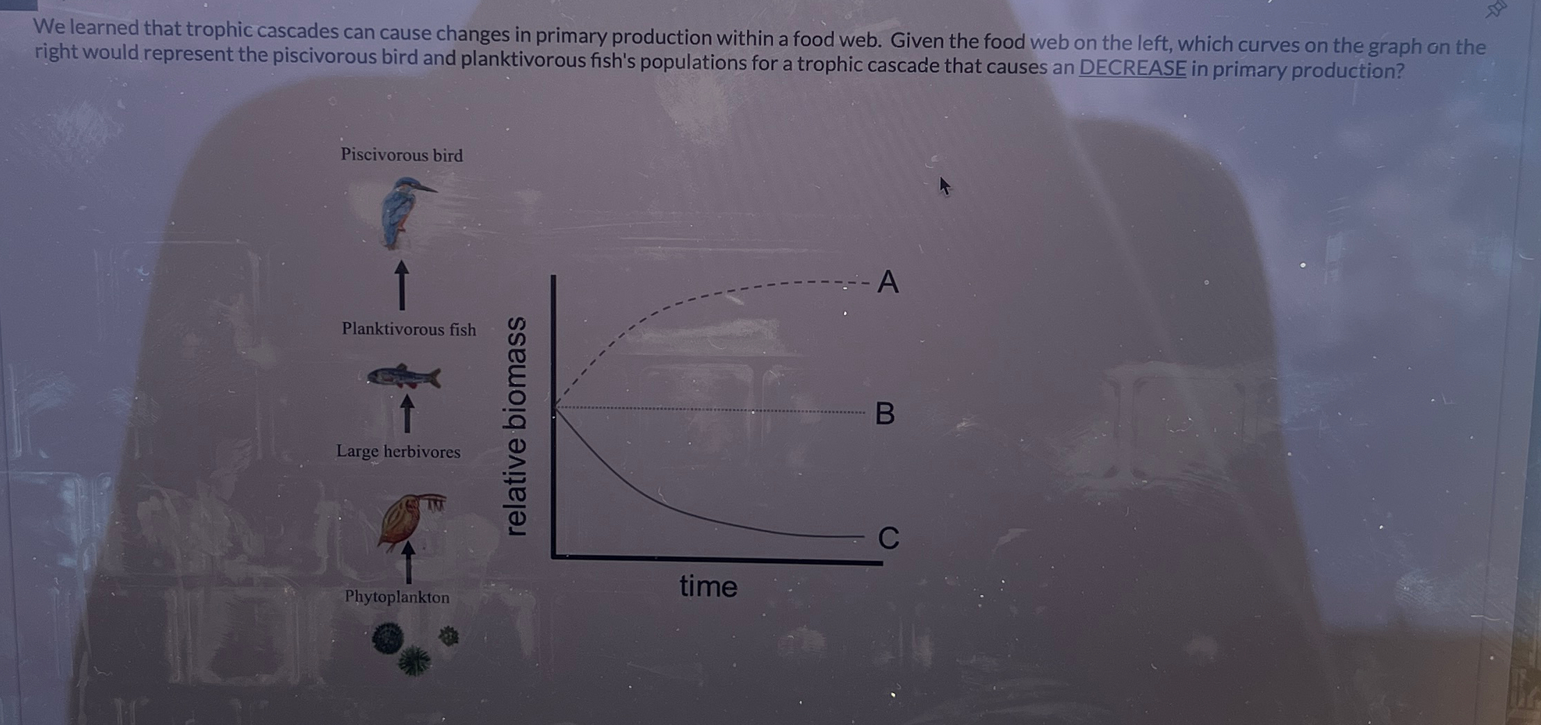 Solved We learned that trophic cascades can cause changes in | Chegg.com