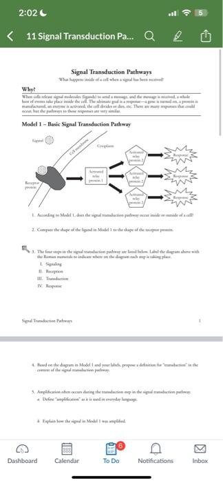Solved 2:02 11 Signal Transduction Pa... Ligand Receptor | Chegg.com
