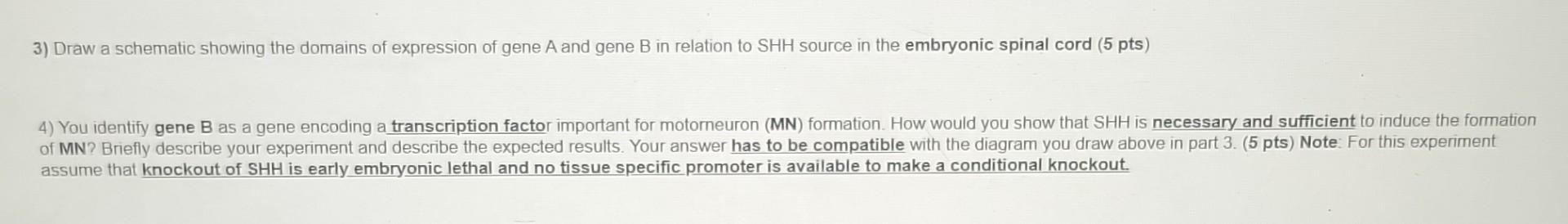 Solved You are studying neural patterning in the vertebrate | Chegg.com