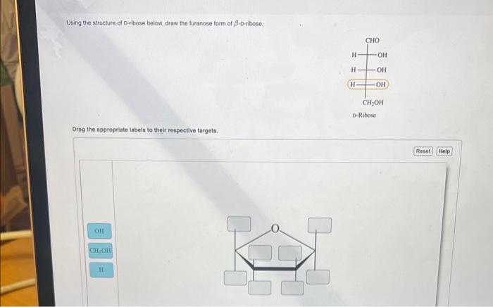 Solved Using the structure of D-ribose below, draw the | Chegg.com