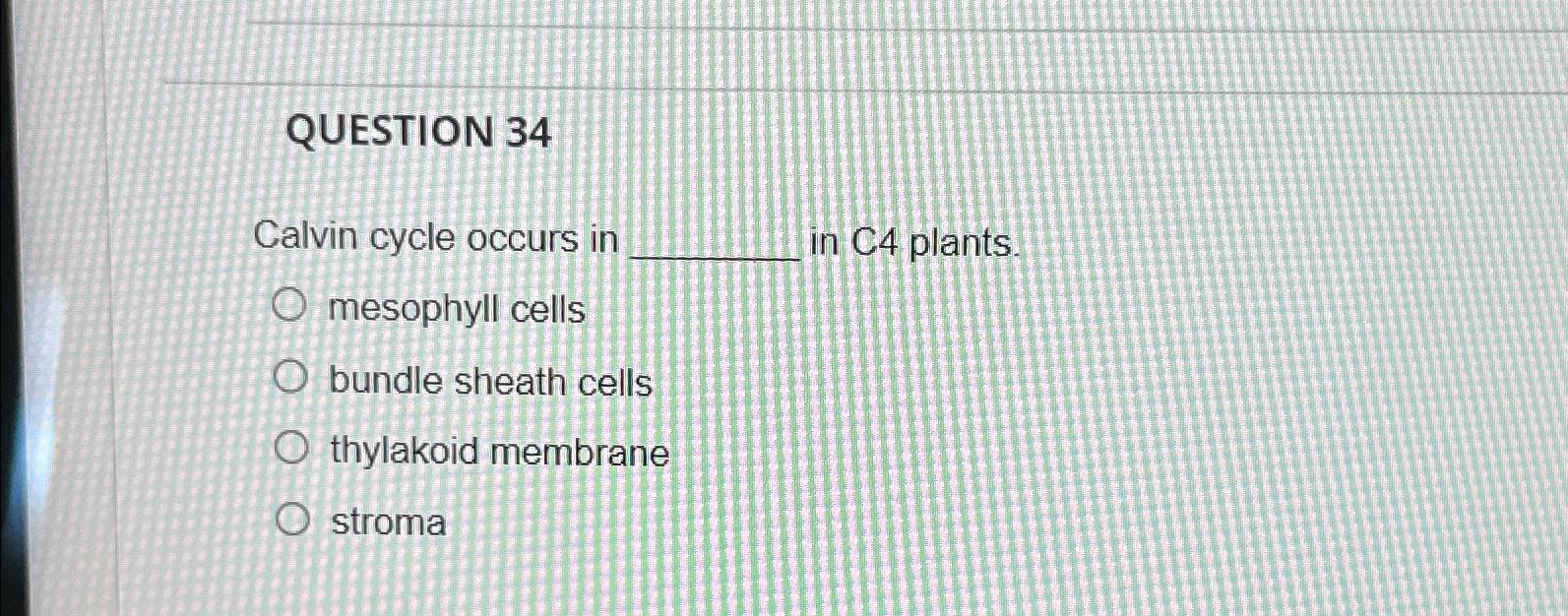 Solved QUESTION 34Calvin cycle occurs in in C4 | Chegg.com