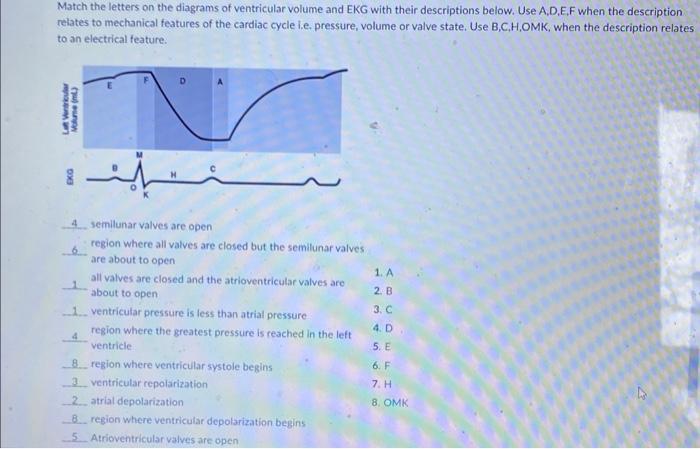 Solved Match the letters on the diagrams of ventricular | Chegg.com