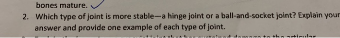 Solved Which type pf joint js more stable- a hinge joint or | Chegg.com