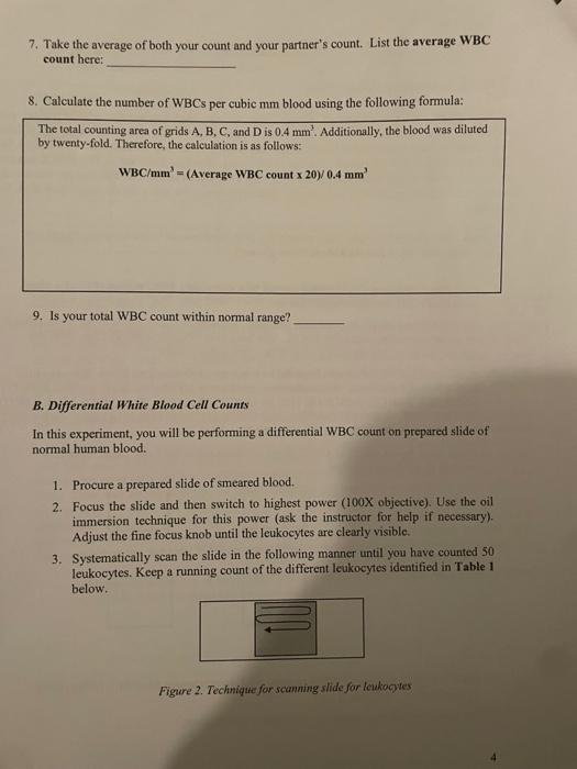 Solved HEMATOLOGY III: WBC COUNTS HUMAN PHYSIOLOGY Lab | Chegg.com