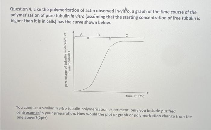 Question 4. Like the polymerization of actin observed | Chegg.com