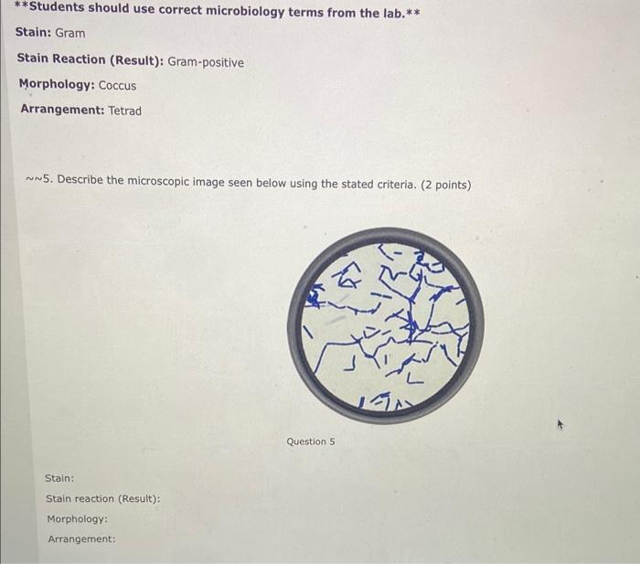 Solved **Students should use correct microbiology terms from | Chegg.com