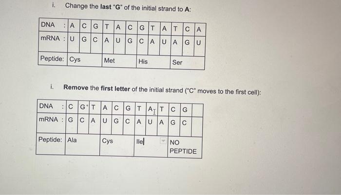 Solved i have two questions, How can mutation affect the | Chegg.com